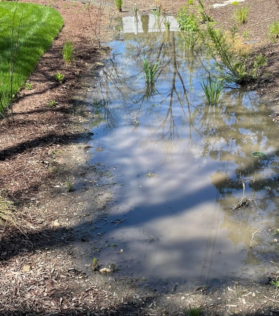 8 Backyard Drainage Solutions | American Gardens LLC